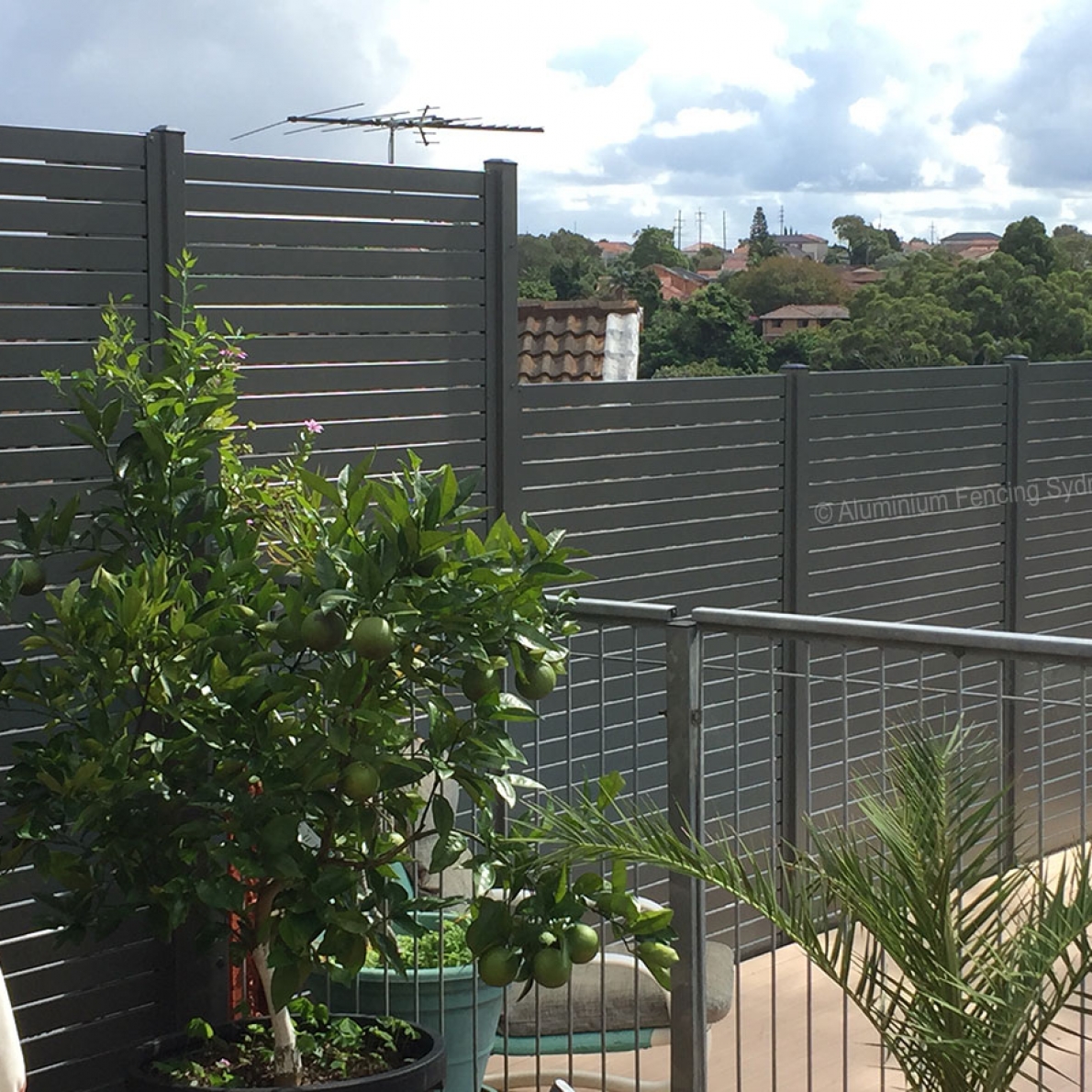 Modern privacy screens in aluminium, timber and colorbond | AFS